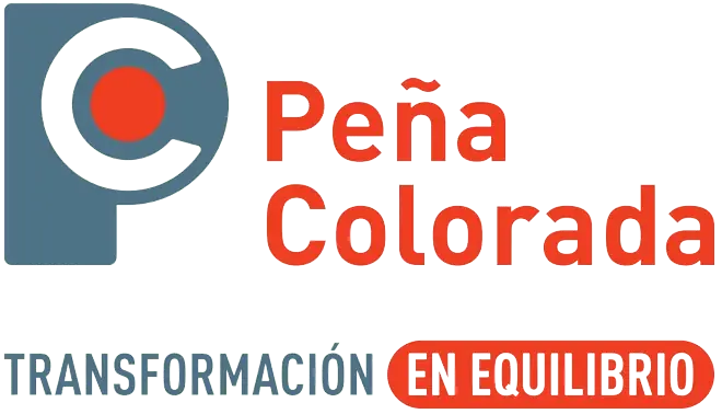 Reporte Diario